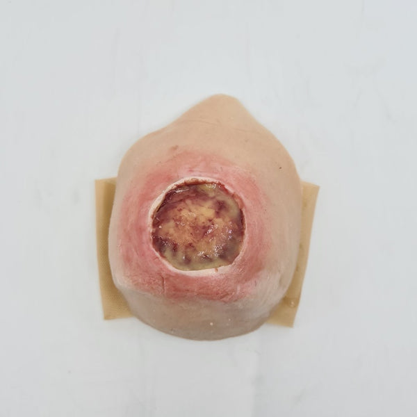 SKILLS - Skin and wound care tissue viability package - MedicFX